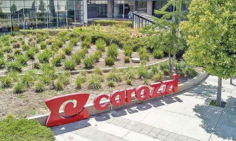 Carozzi se suma al boom del chocolate Dubái e inscribe nueva marca ...